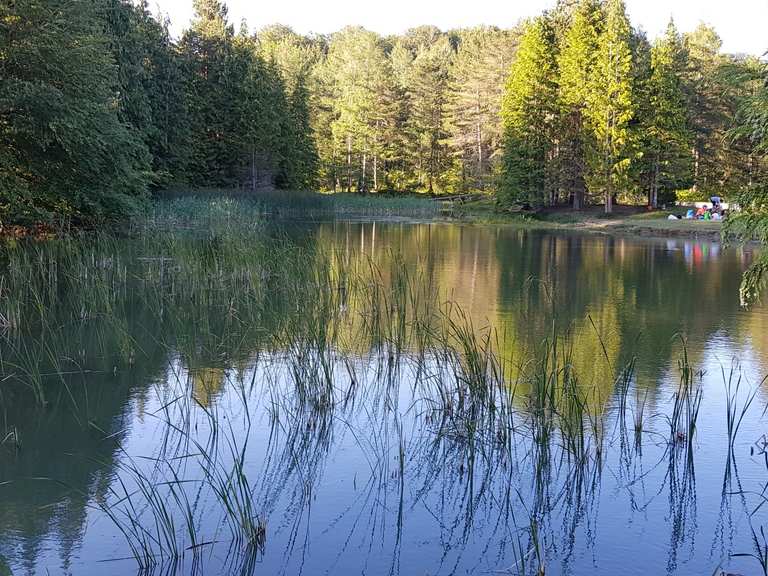 Laberinto de Arno y Lazkueta — circular por el ZEC Entzia | Wanderung ...