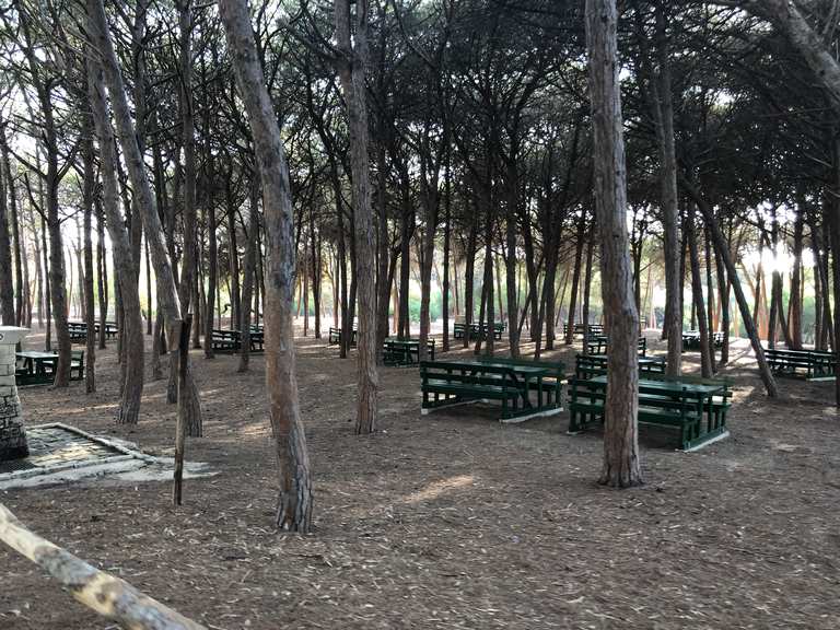 Randello Nature Reserve — ring tour | hike | Komoot