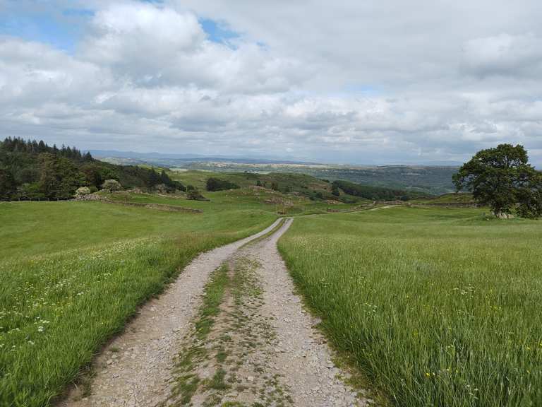 Simpson Ground to High Newton Reservoir loop — The Lake District ...