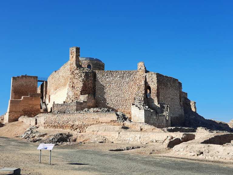 Parque Nacional de las Tablas de Daimiel — circular desde Calatrava la ...
