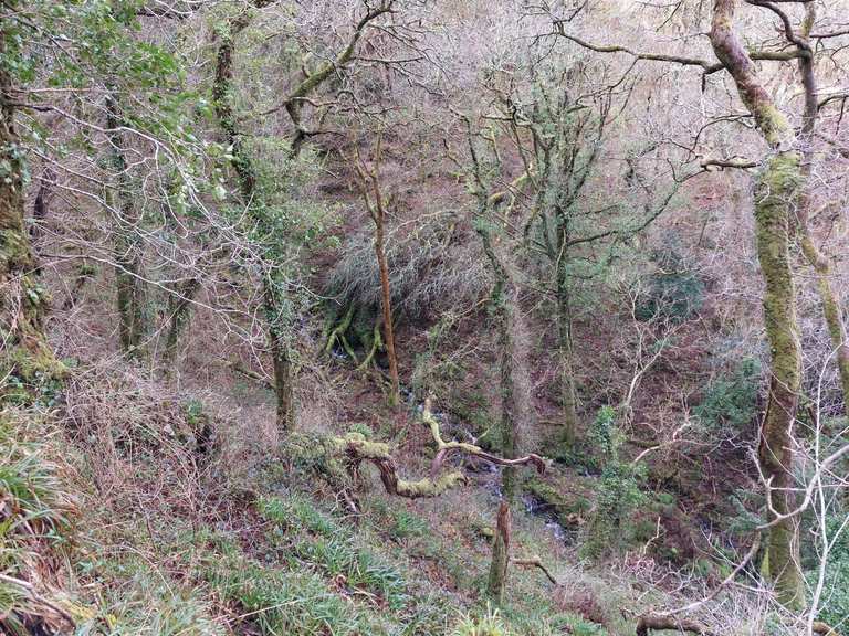 The Heddon Valley & Woody Bay loop from the Hunter's inn — Exmoor ...