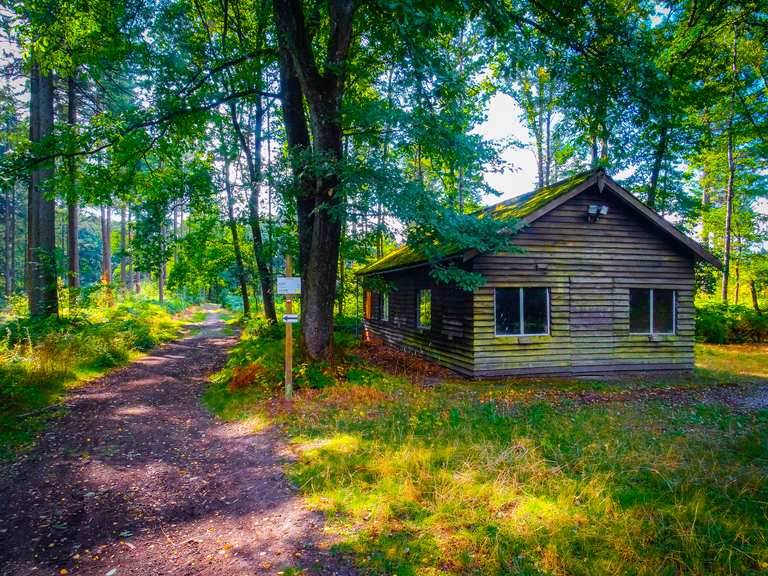 Jagershut, Florennes: Wanderungen und Rundwege | komoot