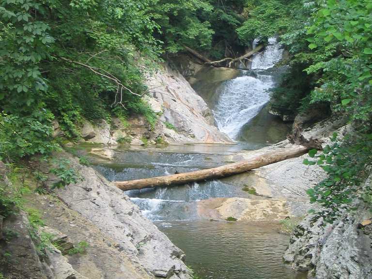 Cedar Creek Trail — Natural Bridge State Park | hike | Komoot