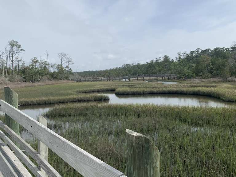 Cedar Point Tideland Trail Routes for Walking and Hiking | Komoot