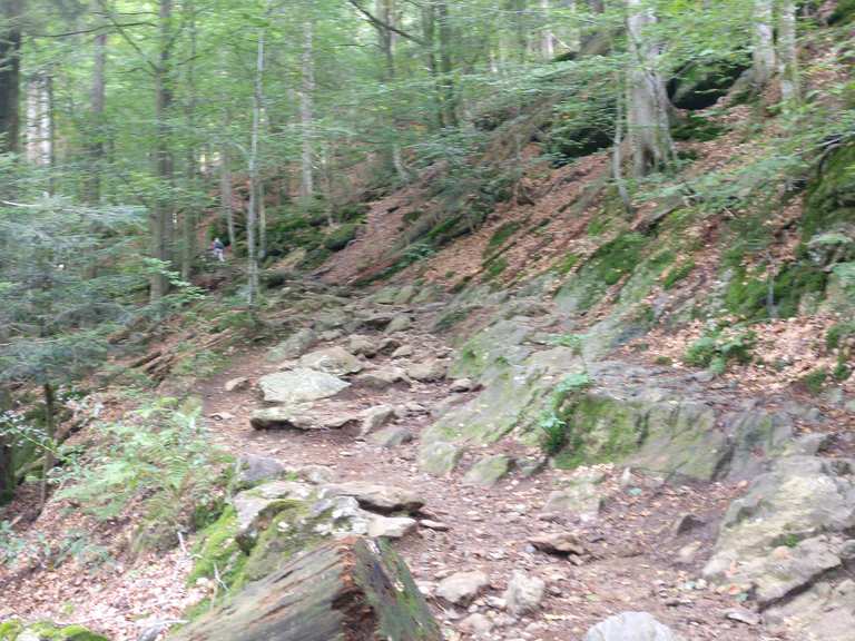 Steiniger Weg: Wanderungen und Rundwege | komoot