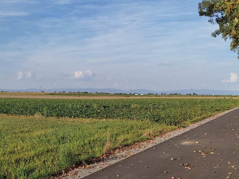 Radweg Pilsting Ganacker: Rennradfahren und Rennradtouren | komoot