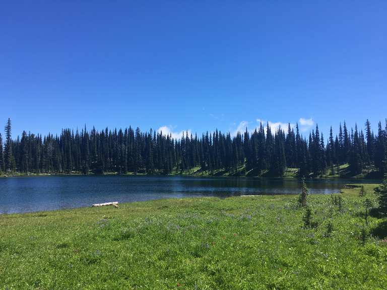 Sunrise & Clover Lake – Mount Rainier National Park | hike | Komoot
