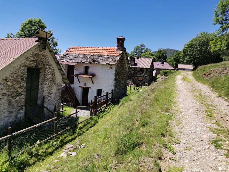 Alpe Camasca: Mountainbike-Touren und -Trails | komoot