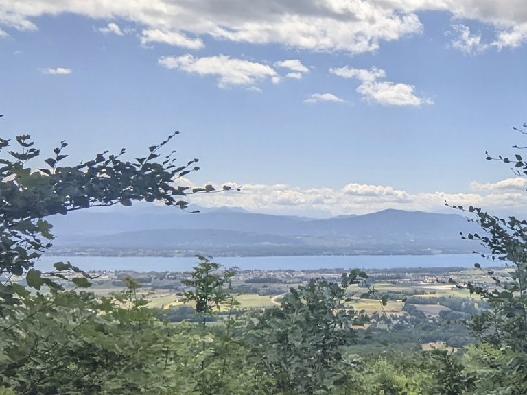 Jura Vaudois – Col de la Givrine (1232 m) Runde von Trélex | Rennrad ...