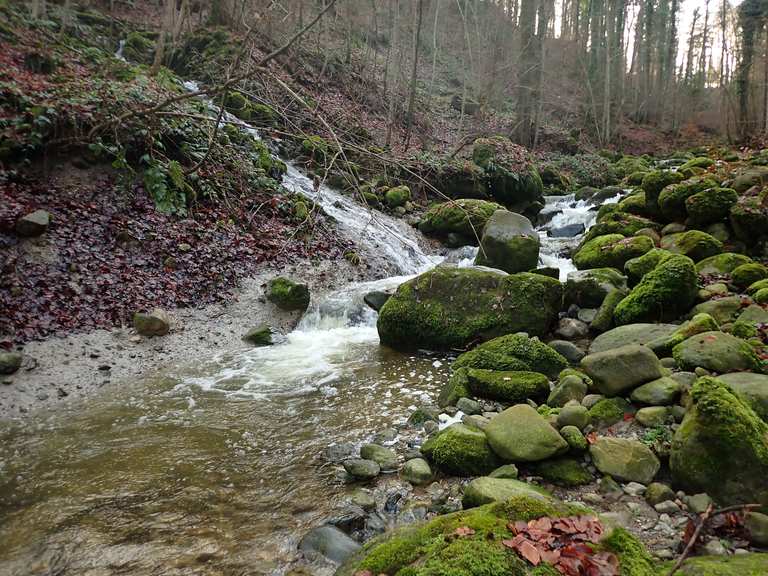 Wilde Mülitobel-Schlucht: Wanderungen und Rundwege | komoot
