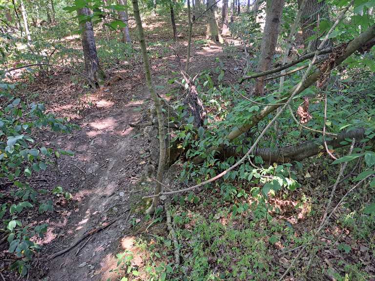 Retired DH Mountain Bike Trails & Tracks | Komoot