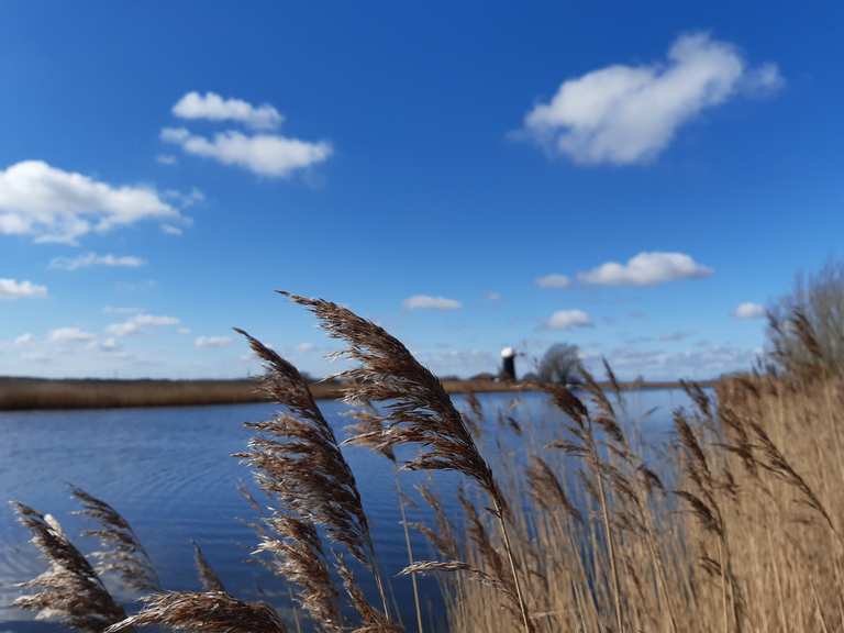 Boucle de South Walsham Broad & River Bure avec St Benet's Abbey — The ...