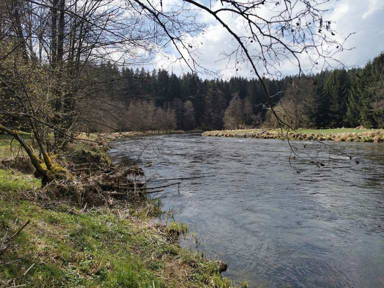Fluss Regen im Naturpark Bayerischer Wald: Wanderungen und Rundwege ...