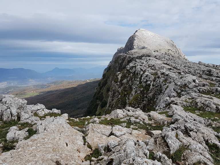 Bosco della Ficuzza, path for Rocca Busambra | hike | Komoot