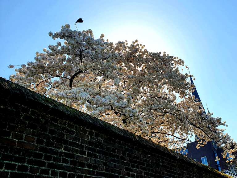 Jardin d'Isabelle: Rutas de senderismo y caminatas | Komoot