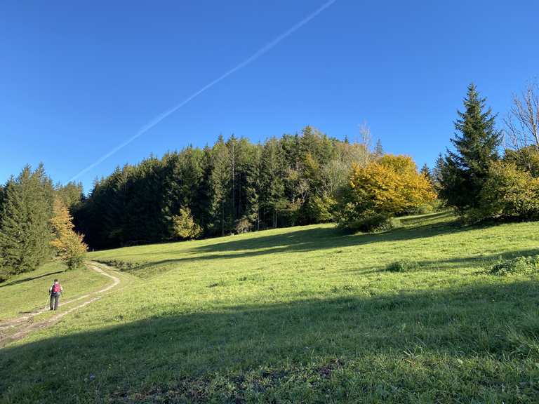 Freithofberg Maria Neustift: Wanderungen und Rundwege | komoot