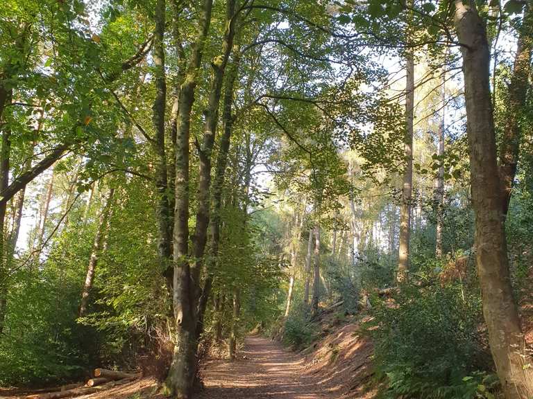 Drovers Way Bridleway – trasy MTB | Komoot