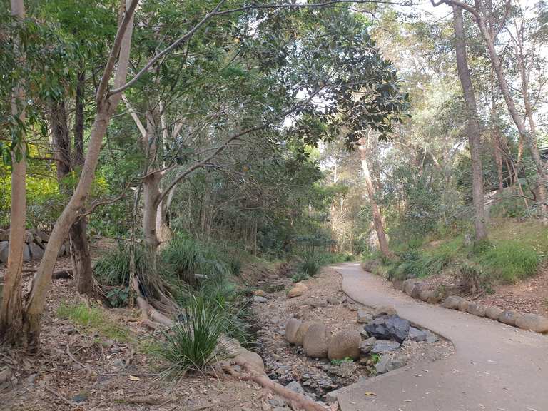 Cabbage Tree Creek shared path - Cycle Routes and Map | Komoot