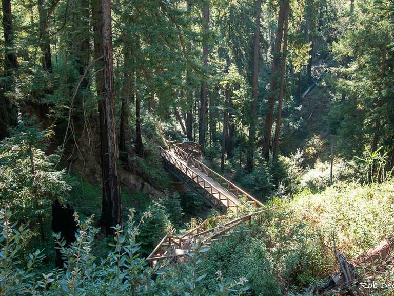 Pfeiffer Falls Loop — Pfeiffer Big Sur State Park | hike | Komoot