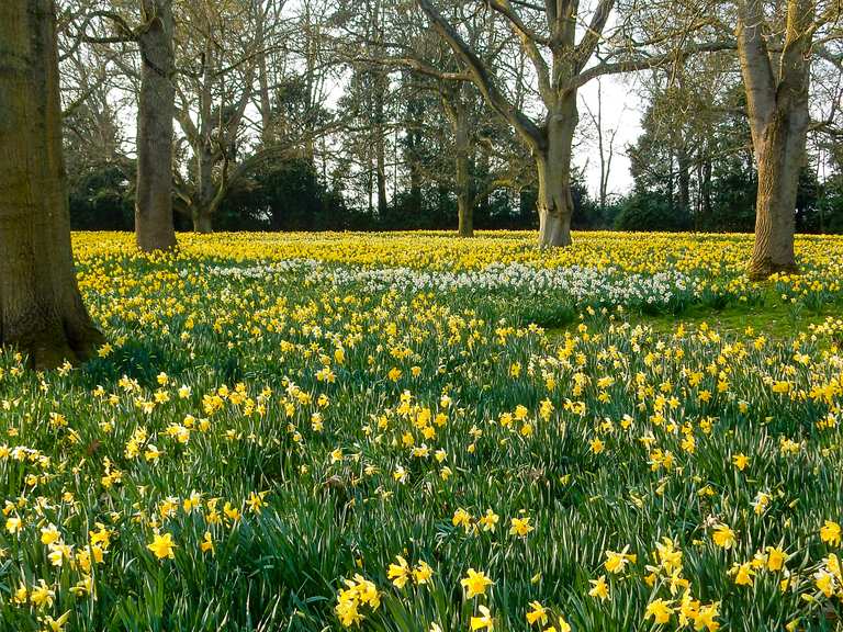 Ascott house : Radtouren und Radwege | komoot