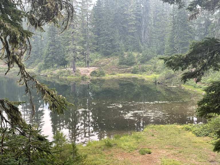 Hope Lake: Wanderungen und Rundwege | komoot