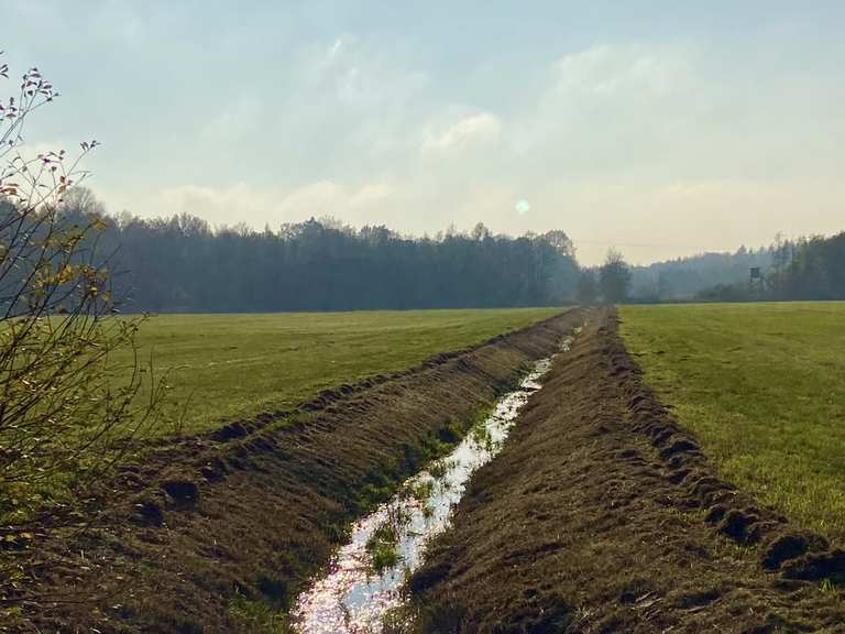 Brücke über den Graben: Wanderungen und Rundwege | komoot