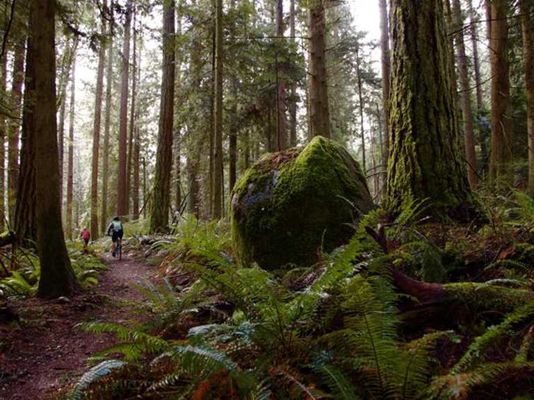 Grand Ridge Trail — Issaquah | mountain bike ride | Komoot