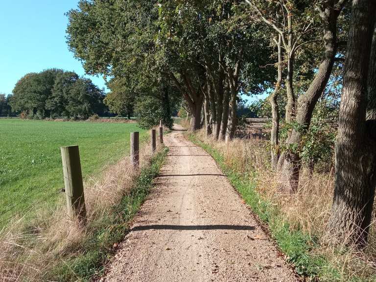 Schöner Radweg Richtung Lage – Neu erstellter Weg Rondje vanuit ...