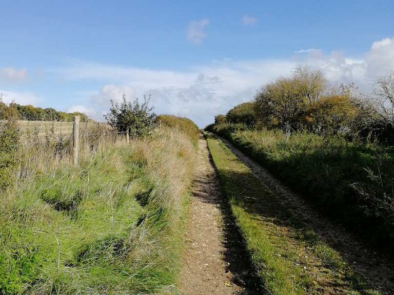 Heath Hill, Hadden Hill & Grovely Wood loop from Barford St Martin ...
