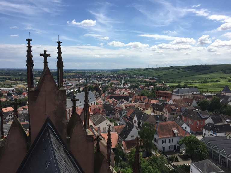 View of Oppenheim - Cycle Routes and Map | Komoot