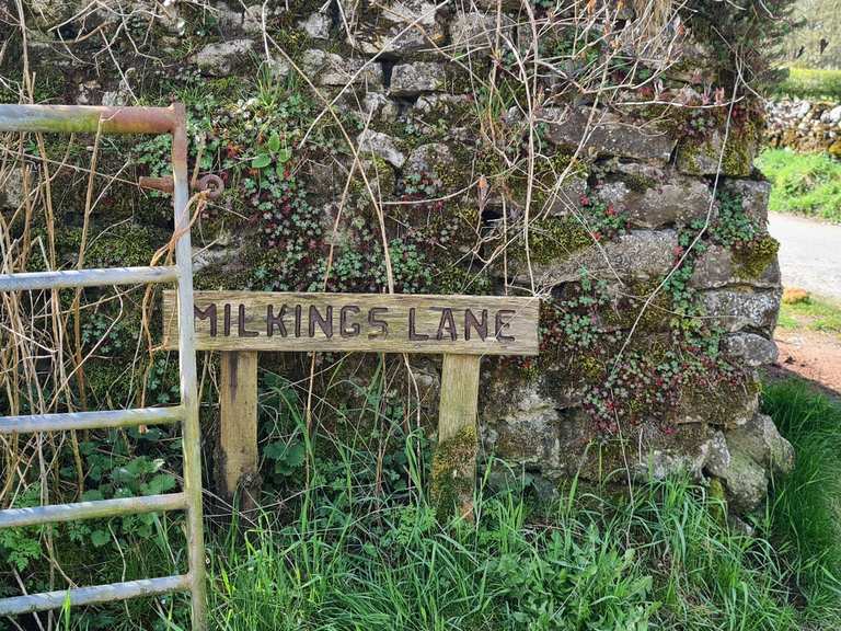 Lathkill Head Cave – Upper Lathkill Dale loop from Monyash | hike | Komoot