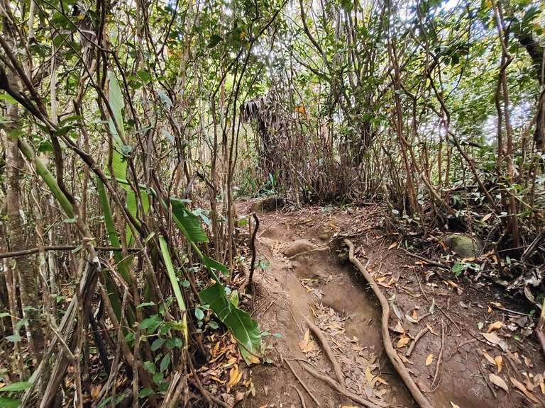 Difficult terrain Routes for Walking and Hiking | Komoot