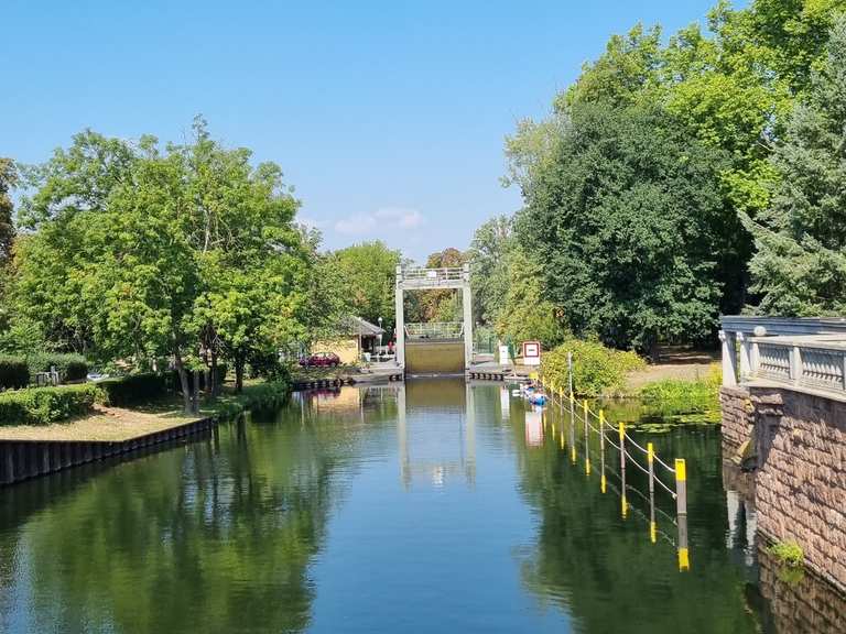 Loriots Wald-Möpse: Wanderungen und Rundwege | komoot