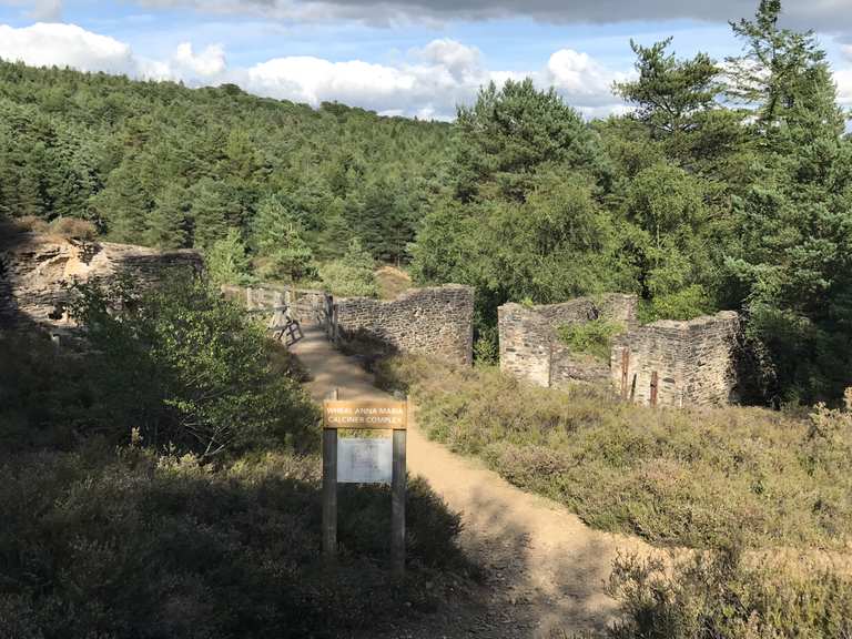 Wheal Anna Maria Arsenic Works: Mountainbike-Touren und -Trails | komoot