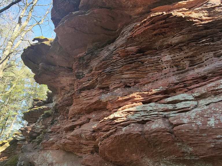 Szlak graniczny między Francją a Niemcami – trasy piesze | Komoot