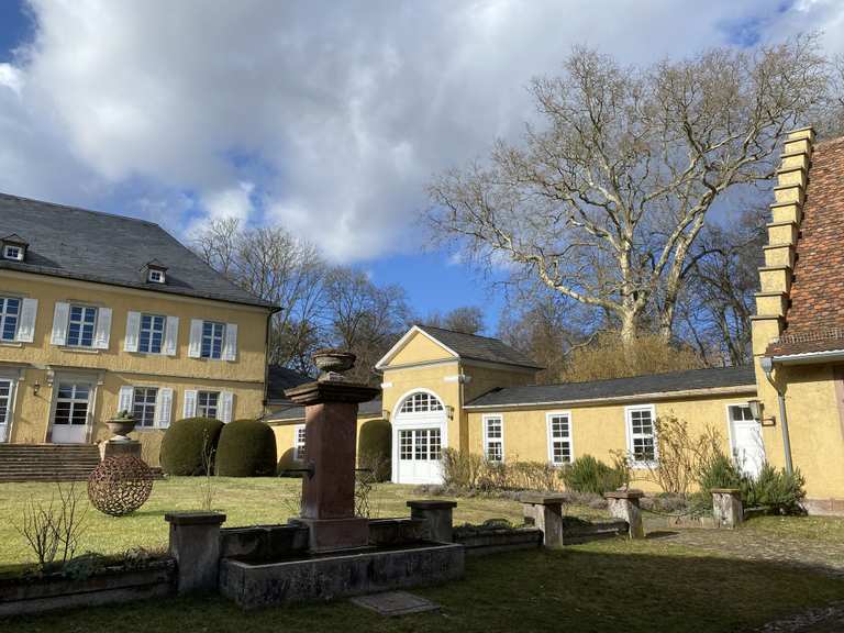 Schloss Bauschlott: Wanderungen und Rundwege | komoot