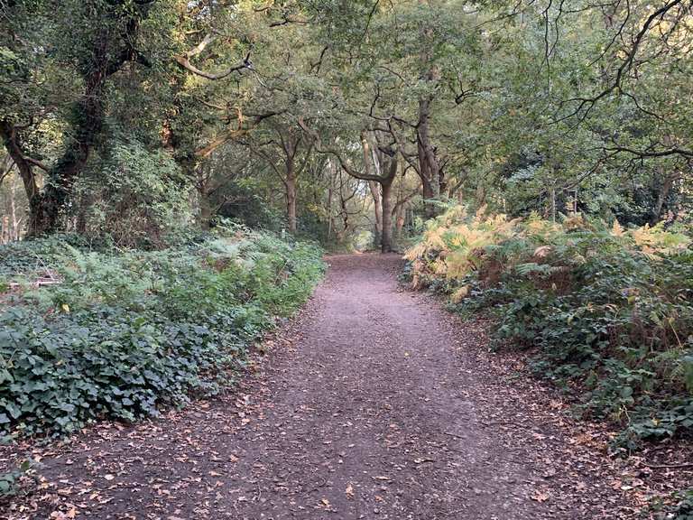 Richmond Park & Putney Heath loop from Barnes – The Tamsin Trail ...
