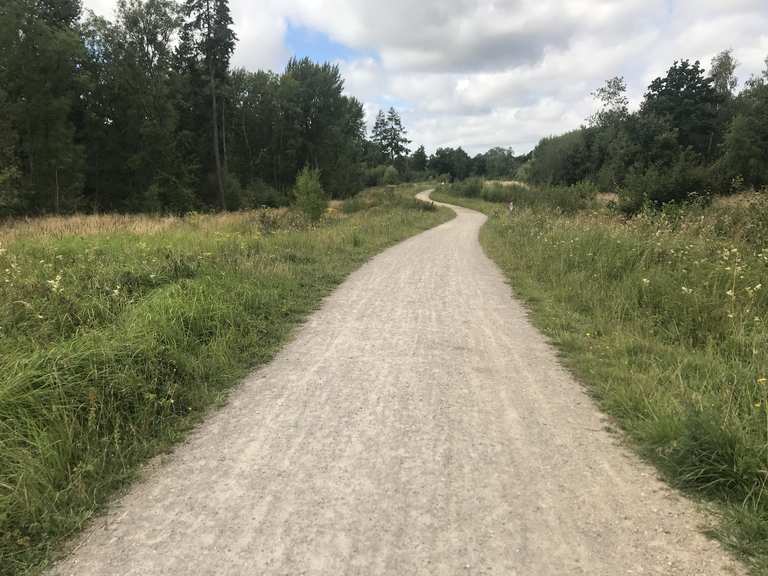 Fineshade Wood wandelroutes en hikes | Komoot