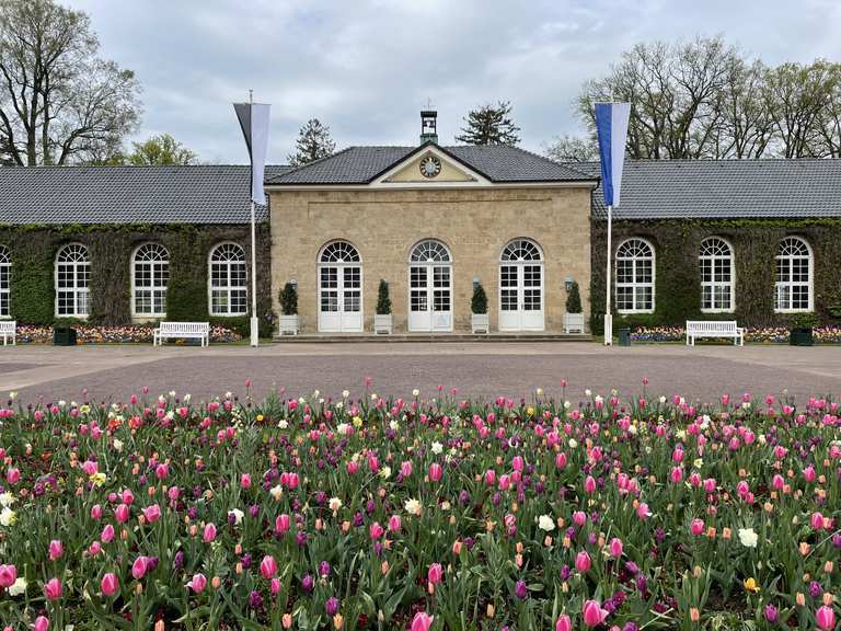 Gräflicher Park - Bad Driburg Routes for Walking and Hiking | Komoot