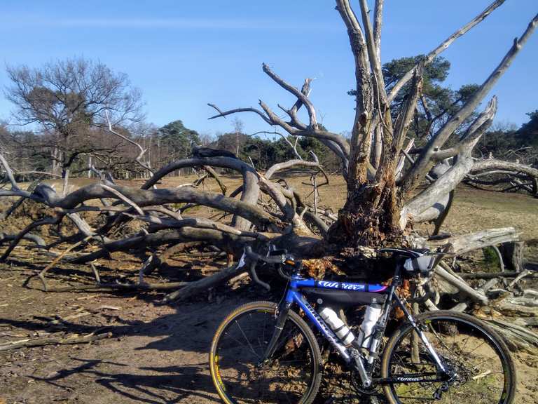 Strabrechtse heide, stuifzand. fietsroutes en kaart | Komoot