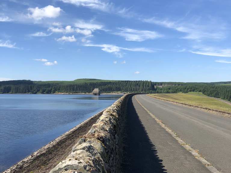 Kielder Lakeside Way Loop — Kielder Forest Park | run | Komoot