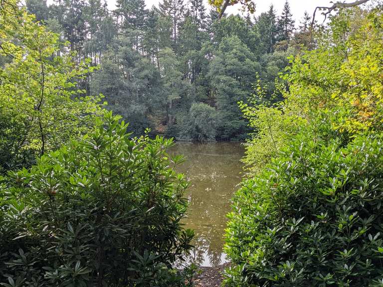 Seggy Pool: Wanderungen und Rundwege | komoot