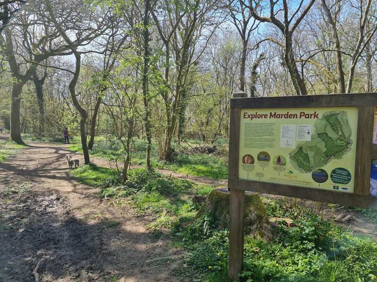 Marden Park & il circuito North Downs Way da Woldingham — Surrey Hills ...