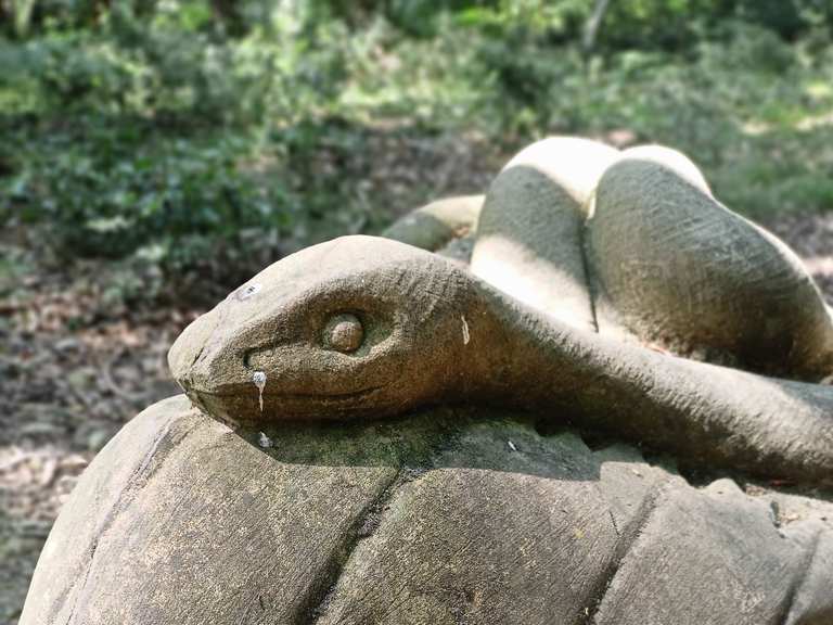 Woolbeding Common loop to Titty Hill — South Downs National Park | hike ...