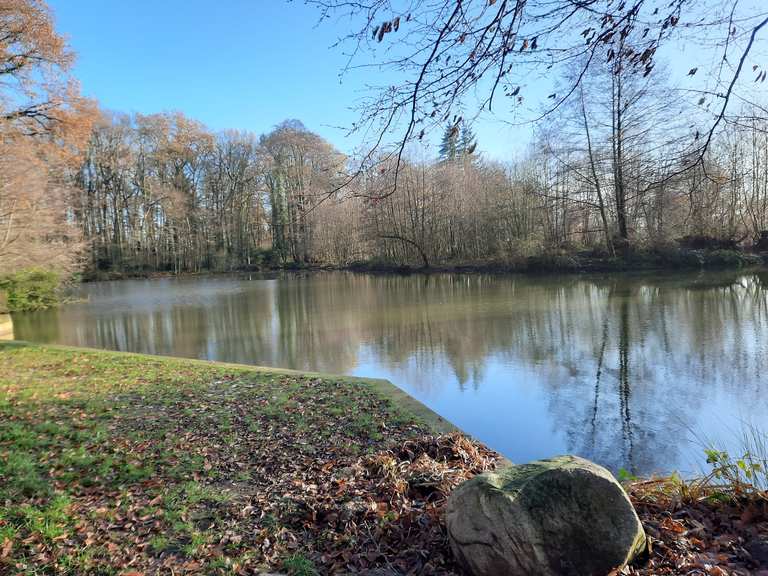 Ramings Mühle .Und Saller See: Wanderungen und Rundwege | komoot