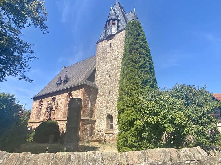 Naturdenkmal "Sommerlinde Wenkbach": Wanderungen und Rundwege | komoot