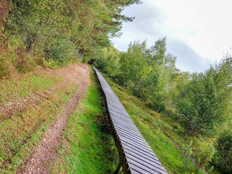 Wooden boardwalk in the Vallei van de Ziepbeek Nature Reserve – Hiking ...