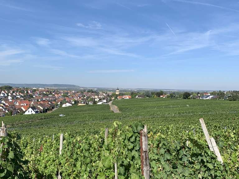 Flein – Blick auf Flein Runde von Flein | Wanderung | Komoot