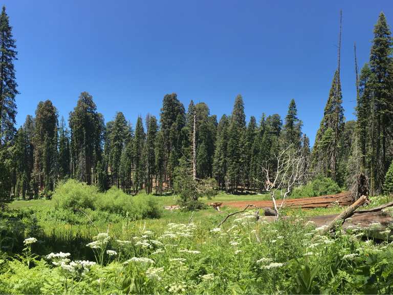 Eagle View Loop — Sequoia National Park | hike | Komoot