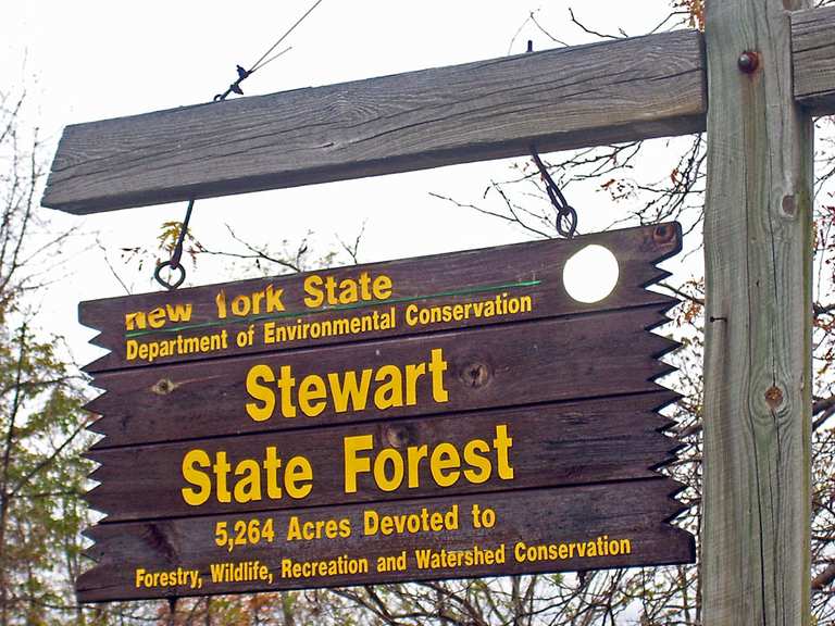 Flowy Loop – Stewart State Forest | Mountainbike-Tour | Komoot